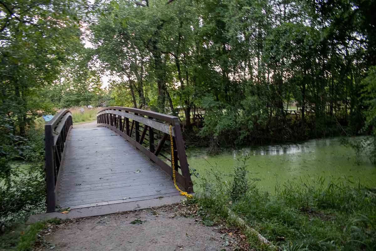 A Day at Heckrodt Wetland Reserve | Go Valley Kids